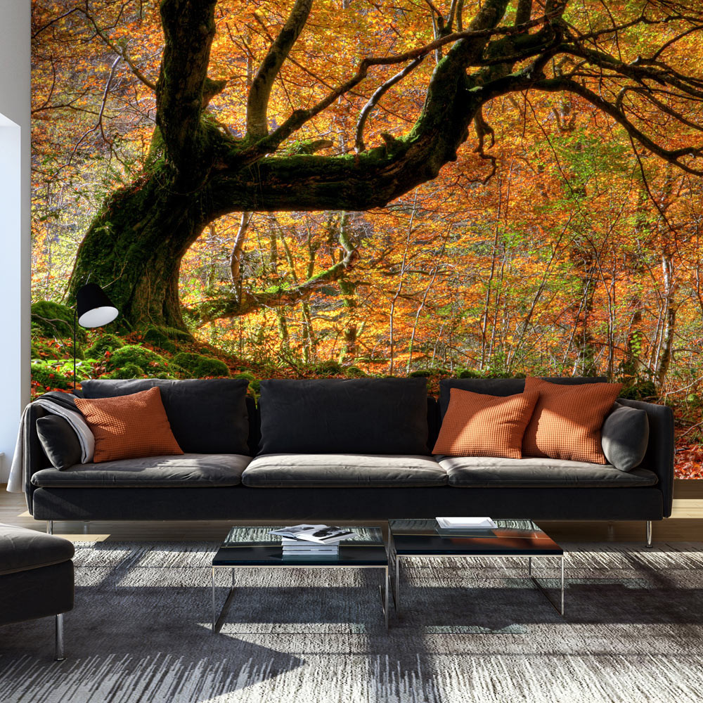 Fotótapéta - Autumn, forest and leaves, A1-F4TNT0498-P, Fotó